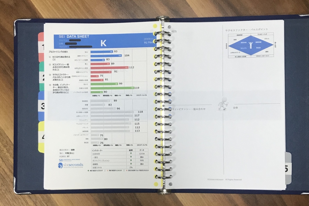 【SEI EQアセッサー限定】EQAC講座テキスト | 6SJ Webshop